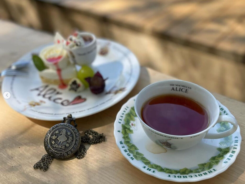 CLUB ALICE(クラブアリス) | キャンプサイト 西宮市山口町船坂